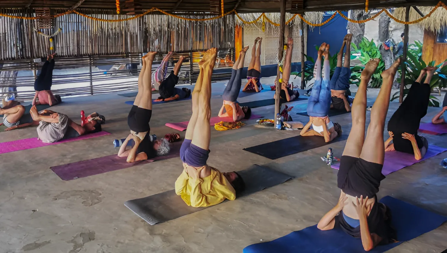 7 Days Yoga Retreat in Goa | Adhiroha